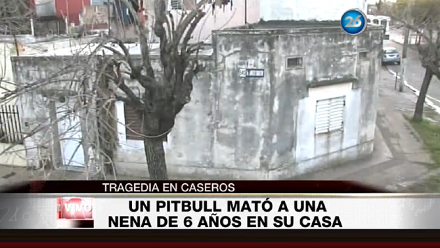 Un perro pitbull mató a nena de seis años | Canal 26 Un perro pitbull mató a nena de seis años | Canal 26
